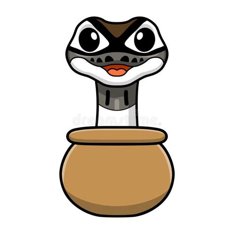 Axanthic Pied Stock Illustrations 20 Axanthic Pied Stock