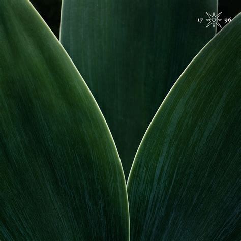 Caroline Putman Cramer On Linkedin Uk Stewardship Code Loim Confirmed As Signatory For 3rd