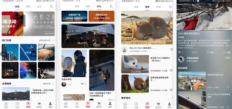 Mvvmmall 基于 Mvvmkotlin组件化 实现的电商实战项目 Codekk Androidopen Source Website