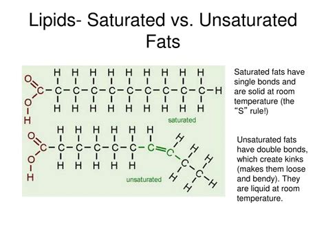 Ppt Biochemistry Organic Compounds Powerpoint Presentation Free