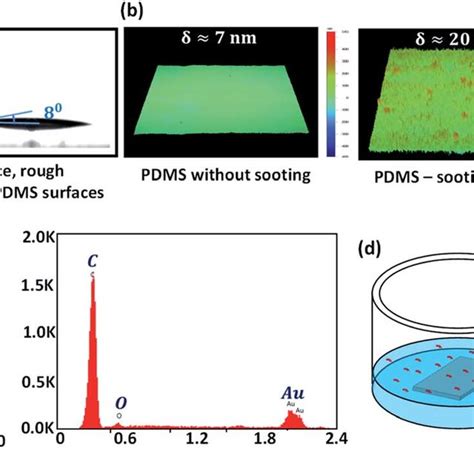 A Detailed Schematic Illustration Of Cell Substrate Interaction From A