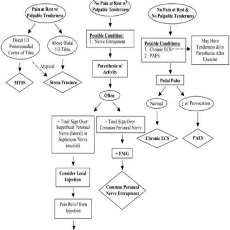1 Traditional Differential Diagnosis And Mtss Classification Adapted