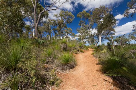 Scope And Emissions AFS