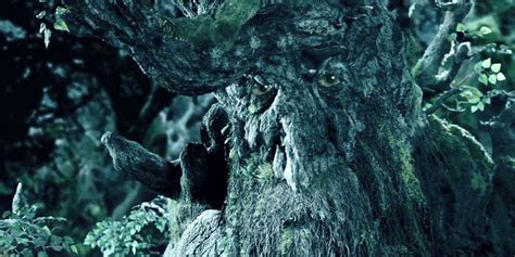 Revealed In Time LOTR Read Along The Two Towers Treebeard