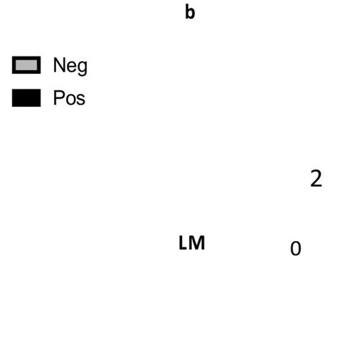 Malaria Diagnosis By Rdt Lm And Qpcr A Stacked Bar Chart Showing Download Scientific