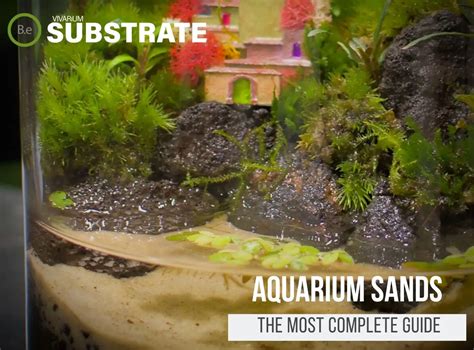 Aquarium Substrate And Soil The Most Complete Guide