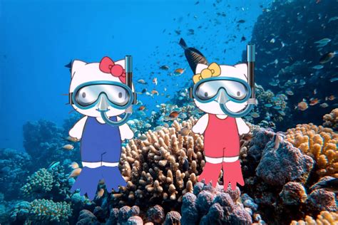 Kitty And Mimmy Underwater Hello Kitty By Twdyeskaiwei99no On Deviantart
