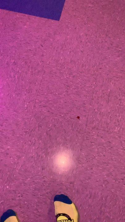 Funzilla In Delran Updated February 2026 106 Photos And 11 Reviews