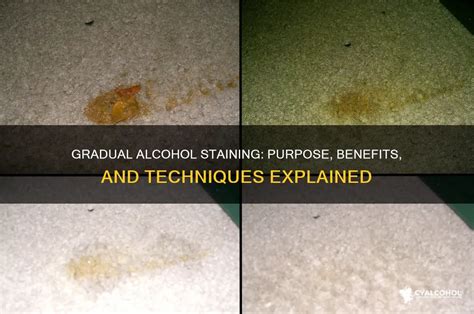 Gradual Alcohol Staining Purpose Benefits And Techniques Explained Cyalcohol