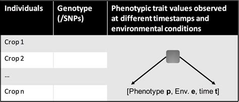 Schematic Table View Of A Multi Dimensional Phenomics Data Set