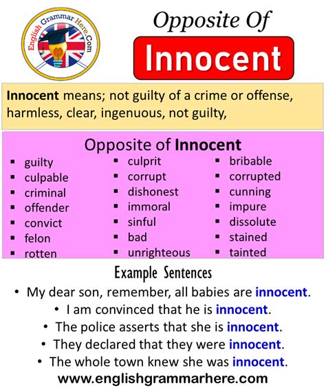 Opposite Of Innocent Antonyms Of Innocent Meaning And Example