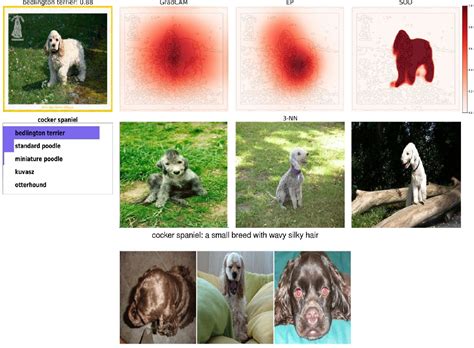 Figure 1 From The Effectiveness Of Feature Attribution Methods And Its