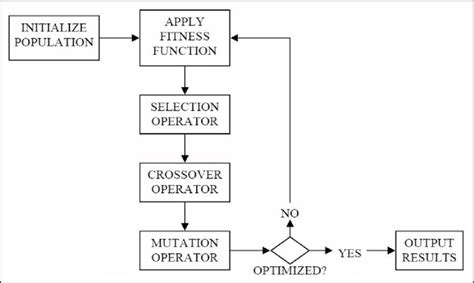 Flowchart Depicting The Sequence Of Operations In An Evolutionary