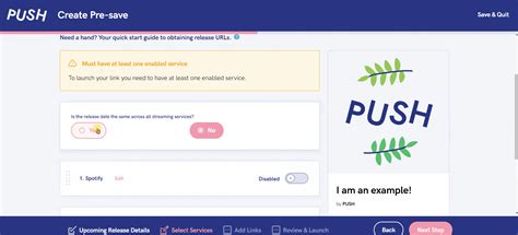 How To Set Up A Pre Save Campaign For Your Music Release PUSH Fm