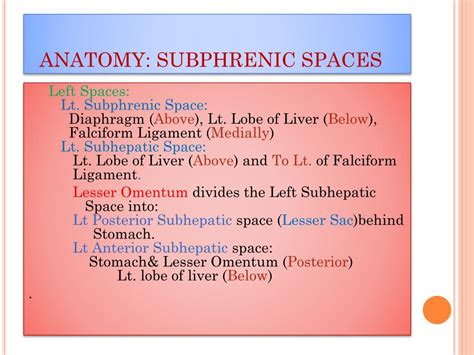 Ppt Omentum Mesentry Retroperitoneal Space Powerpoint Presentation