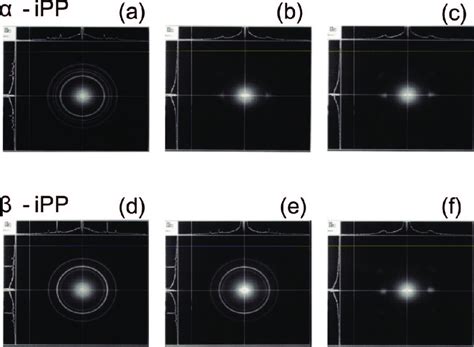 Small Angle X Ray Diffraction Patterns Of α And β Ipp Samples A