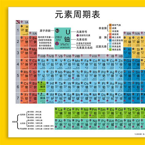 儿童幼儿园脑力大作战游戏垃圾分类桶玩具亲子早教启蒙玩具3 6岁虎窝淘