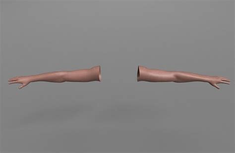 D Model FPS Arms With Advanced Rig VR AR Low Poly CGTrader