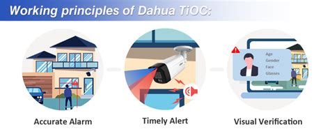 Dahua TIOC MP IP CCTV Package Installed Serious Security Sydney Melbourne