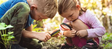50 Fun And Educational Nature Activities For Preschoolers Abcmouse