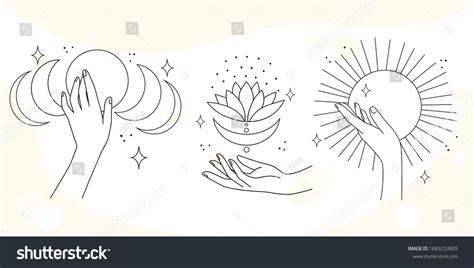 Woman Hand Line Art Collection Delicate Stock Vector Royalty Free