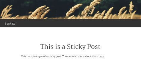 syntax theme —