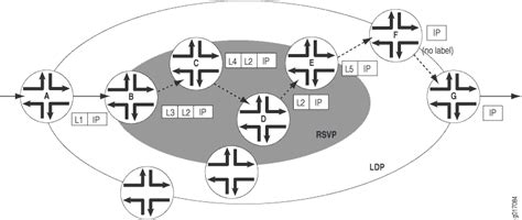 LDP Overview Junos OS Juniper Networks