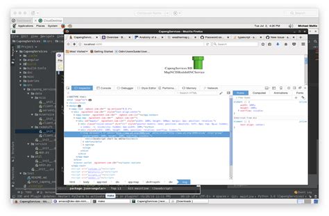 Angular Amcharts Example Chart Does Not Appear But Watermark Does Issue Amcharts