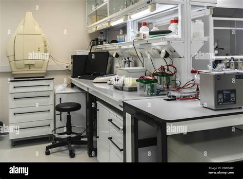 Molecular Biological Laboratory Modern Laboratory With Equipment Stock