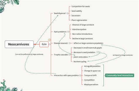 Current Research My Site 5