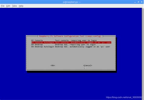 树莓派无桌面系统 raspberrypi lite 启动自动打开chromium browser的具体方法 csdn博客