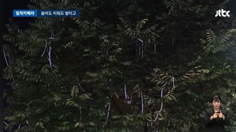 홍대 거리 근황 유머 움짤 이슈 에펨코리아