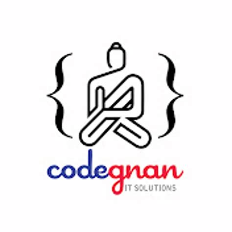Codegnan Company Profile Funding And Investors Yourstory