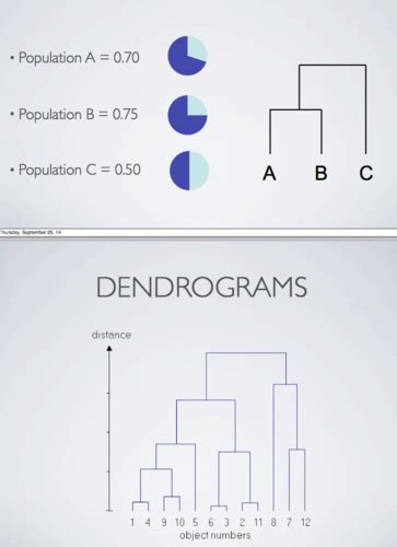Multivariate Analysis Flashcards Quizlet