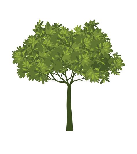 Shape Of Green Tree With Leaves Vector Outline Illustration Stock Vector Illustration Of