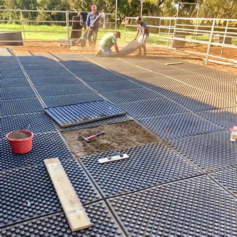 Mud Prevention In Horse Paddocks Footing Solutions Usa Llc