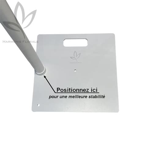 Module Extensible