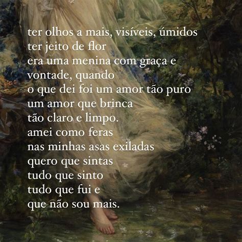 Daniele Kipper Annie Ernaux E Hilda Hilst E Praia E Vento Instagram