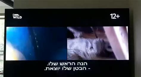 Clem Kouijzer On Linkedin Part 2