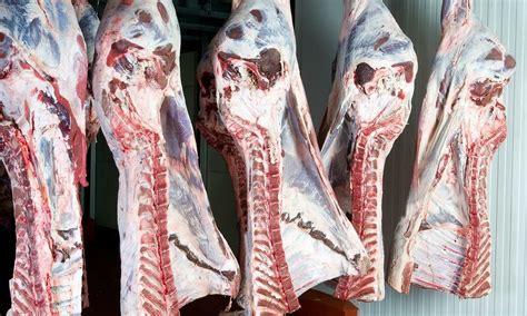 Ni Beef Carcase Weights Remain Strong As Irish Weights Decline