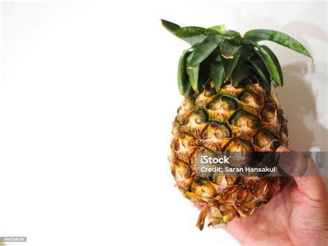 작은 태국 로컬 파인애플 과일 푸 라 전체 절연 배경 흰색 오른손으로 개최 가득 찬에 대한 스톡 사진 및 기타 이미지 가득