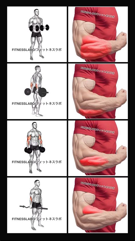 𝗙𝗜𝗧𝗡𝗘𝗦𝗦𝗟𝗔𝗕𝗢 Get Strong Forearms ① Dumbbell Rotation ② Barbell Behind Wrist Curl ③ Dumbbell