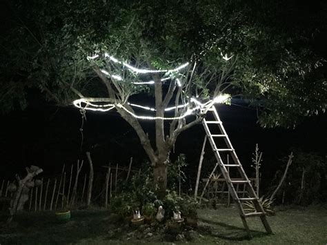 Premium Photo Ladder By Illuminated Tree At Back Yard Premium Photo Ladder By Illuminated Tree At Back Yard