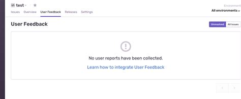 Sentry User Feedback And Ruby