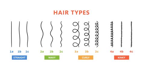Curl Type Chart Explained See Curl Patterns From 2a To 4c First For