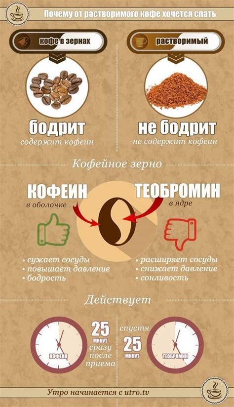 Кофе Today: из чего делают, как правильно заваривать, какие ...