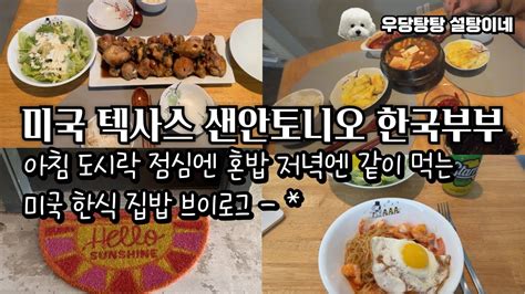 🍱 남편도시락 🍚 집밥브이로그 🛒 하비러비 쇼핑 Heb 장보기 🍗갈비치킨 🍲된장찌개 🍝불닭파스타 🐶