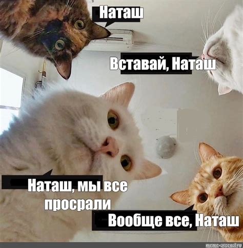 Мем Наташ Вставай Наташ Наташ мы все просрали Вообще все Наташ Все шаблоны Meme