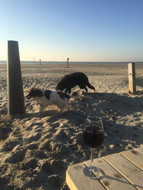 Pin En Mijn Lieverds