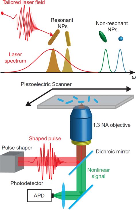 Top A Broadband Ultrashort Laser Pulse Interacts With Nanoparticles Download Scientific
